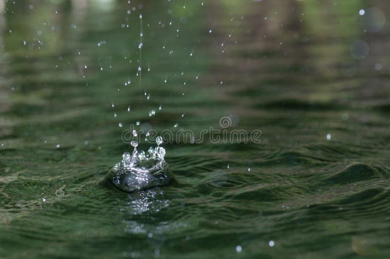 Drops of Water Falling in Pool Stock Image - Image of puddle, pond ...