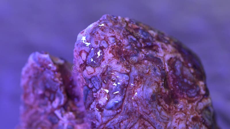 Drops of Water on Gemstone Like Quartz Stock Footage - Video of nature ...