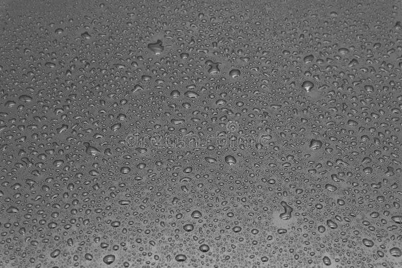Drops of Water on a Gray Background, Texture Closeup Stock Image ...