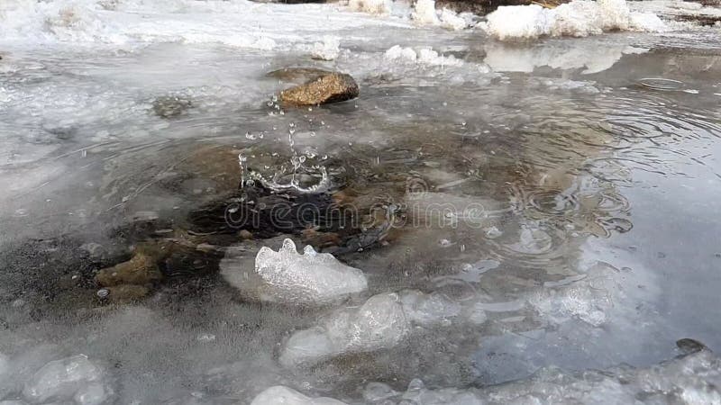 Drops of Water from Melting Icicles Drip into a Puddle in Slow Motion ...