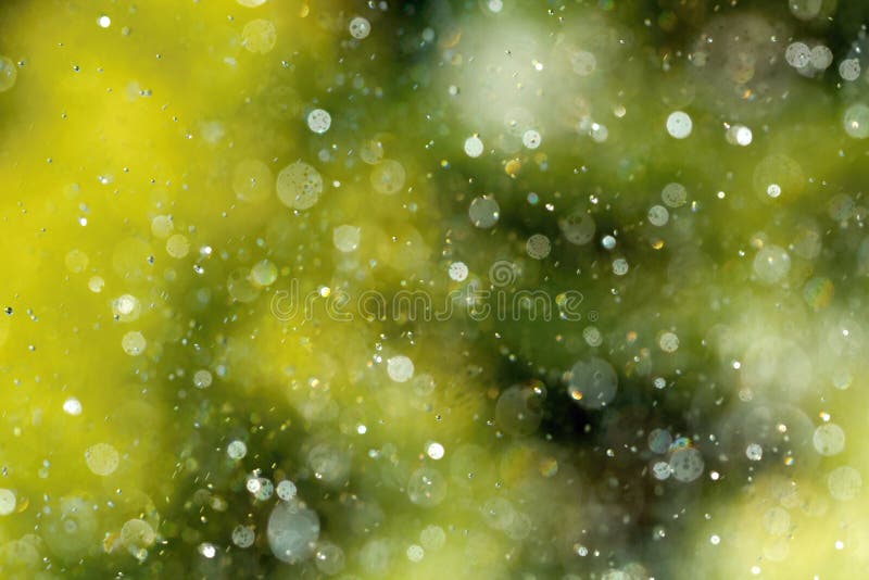 Drops of water spray stock photo. Image of garden, drops - 27013256