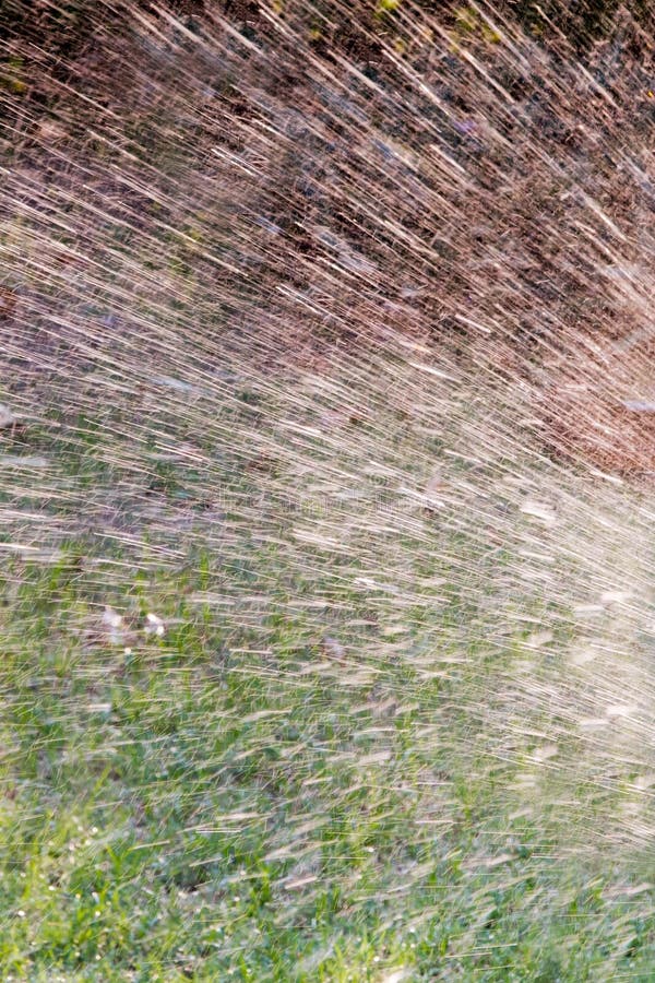 Drops of Water from a Sprinkler Spraying To Garden Stock Image - Image ...