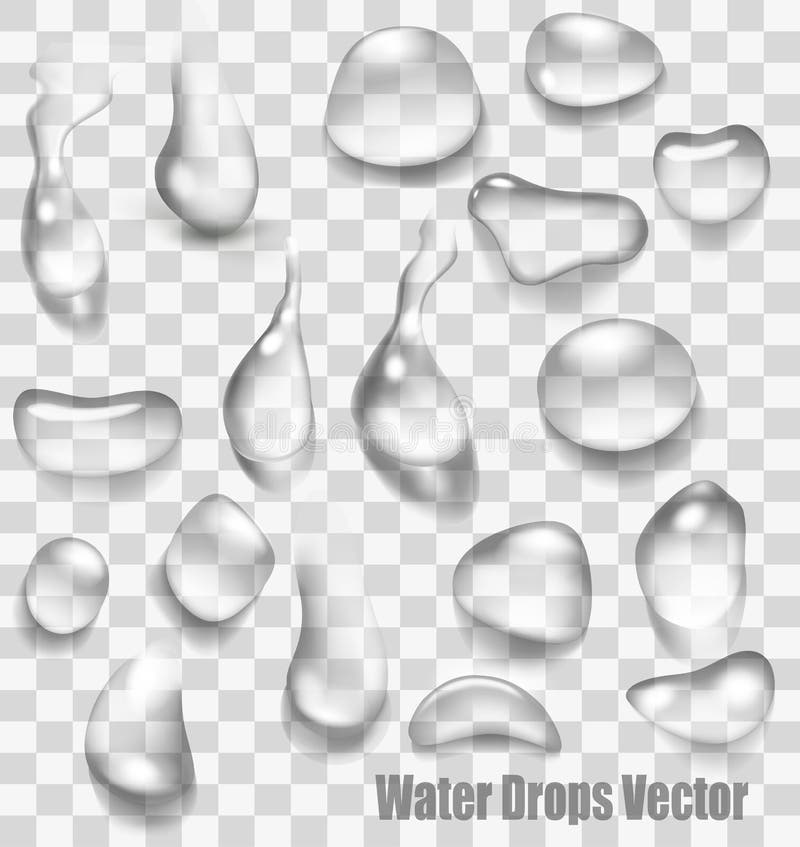 Drops of Water on a Transparent Background. Stock Illustration ...