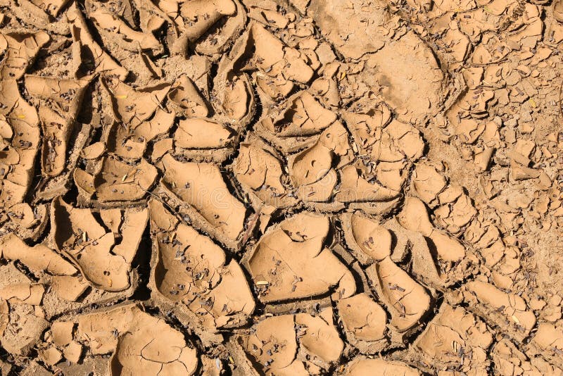 Drough texture stock photo. Image of cracks, palawan - 226531108