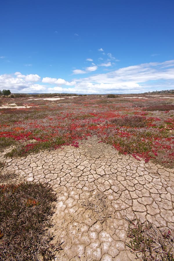 Drought stock photo. Image of dirt, ground, angle, land - 17373630