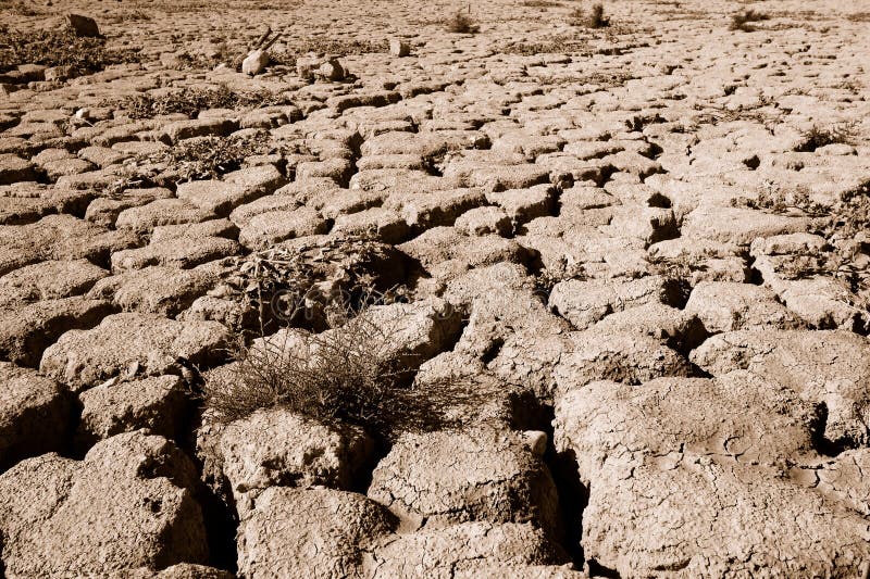 Drought Picture. Image: 26282126
