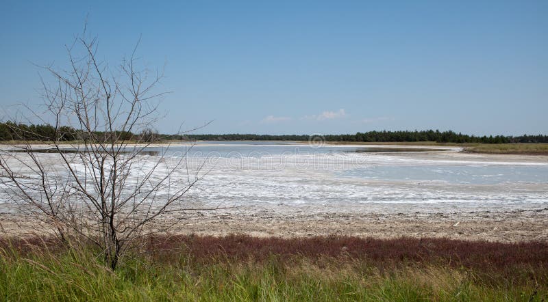 Drought affected land stock photo. Image of drying, heat - 25943004