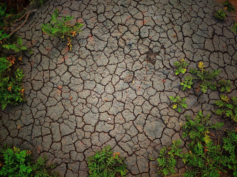 Drought-Affected Land with Cracked Earth and Sparse Green Vegetation ...
