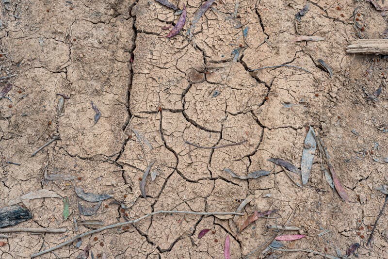 Drought in Australia , Dried Up Stock Image - Image of beauty, desert ...