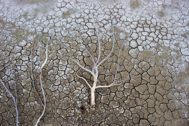 Drought background. stock photo. Image of crack, soil - 77522740