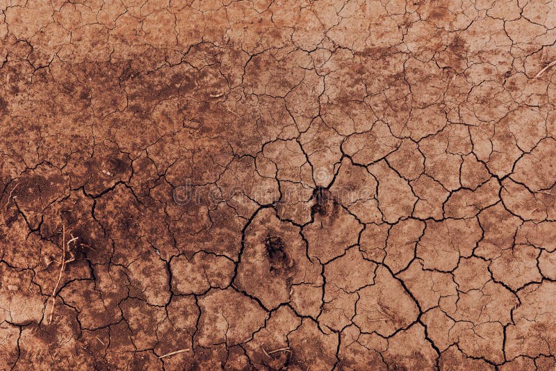 Drought Background, Top View of Dry Earth Soil Texture Stock Image ...