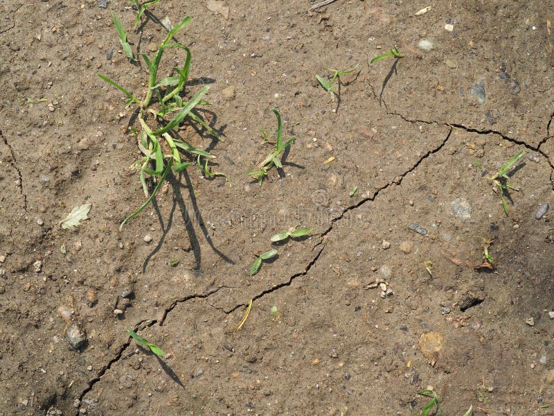 Drought Caused by Climate Change Stock Image - Image of drought, earth ...