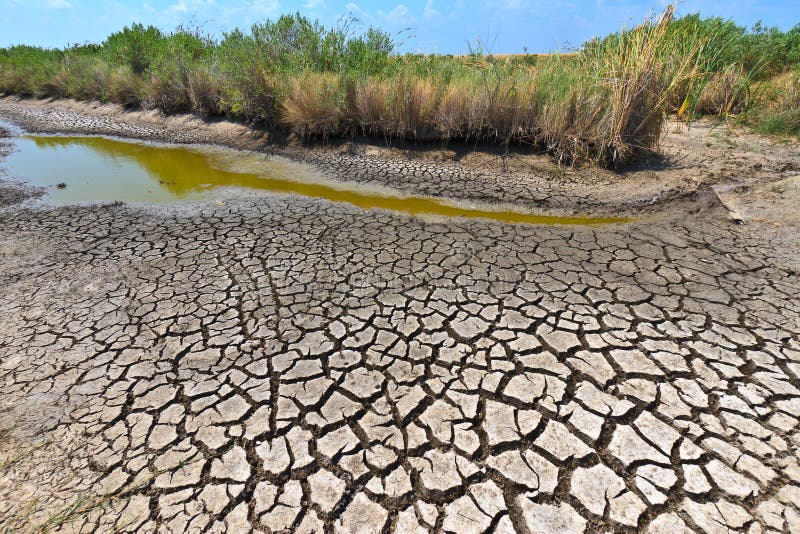 Drought Conditions stock photo. Image of water, drought - 20060020