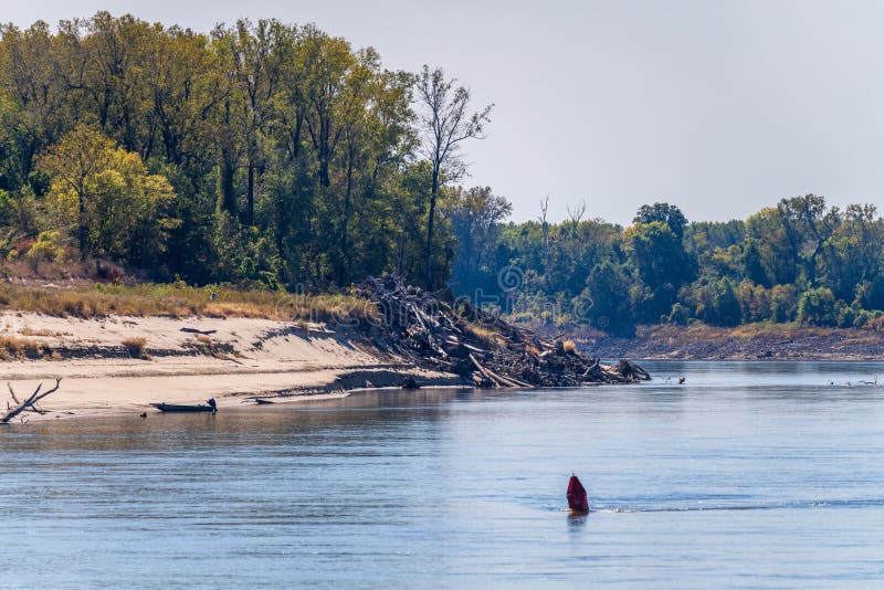 Drought Conditions on Mississippi River with Stack of Beached Tree ...