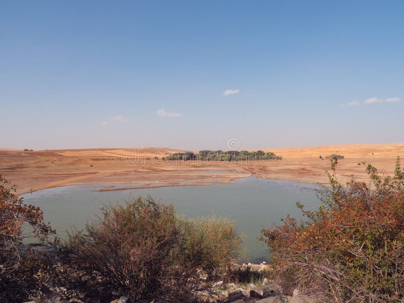 Drought in Continental Climate, Decrease in Water Levels, Consequences ...