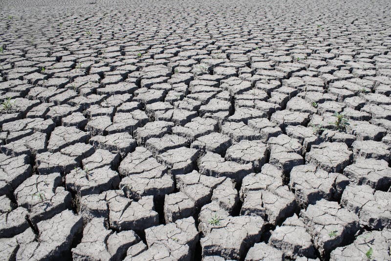 Drought Cracks. Dead Nature. Stock Photo - Image of feet, damage: 81203648