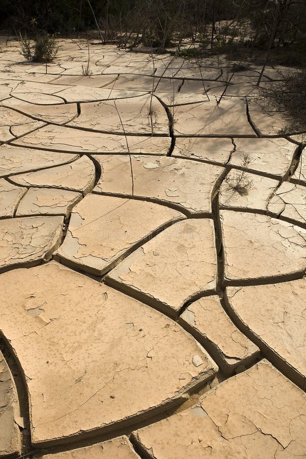 Drought in Desert Near Walvis Bay, Namibia Stock Photo - Image of ...