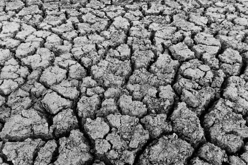 Drought stock photo. Image of disaster, landscape, nature - 55176646