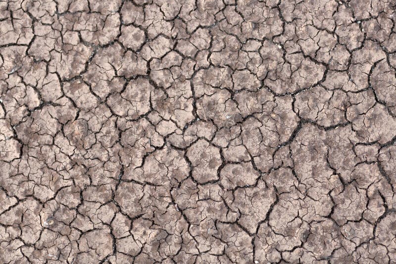Dry cracked ground stock photo. Image of lake, field - 187497750