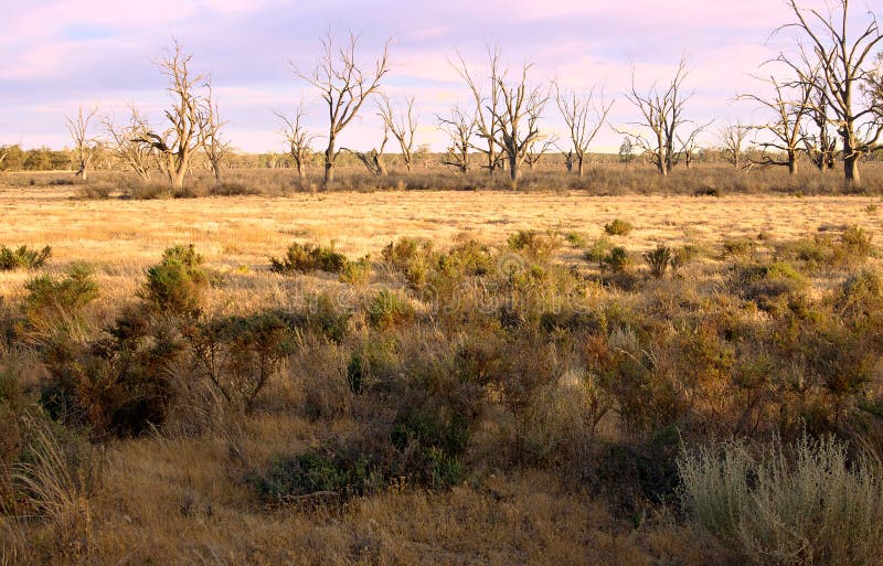 Drought in dry farm land stock image. Image of dead, agriculture - 3074517