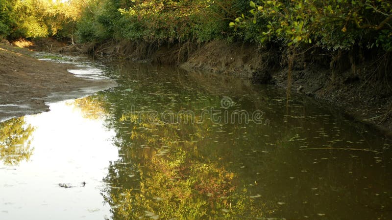 Drying River Bed. Philippines. Stock Video - Video of scenery ...
