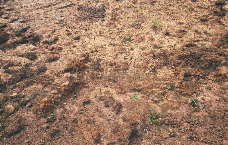 Drought Earth Surface Caused by Climate Change. Dry and Cracked Ground ...