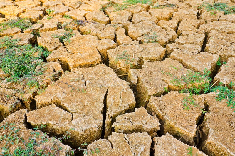 Drought Field, Drought Land Stock Photo - Image of grain, heat: 28821754