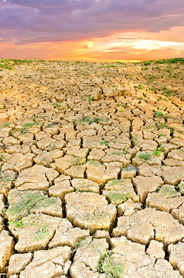 Drought Field, Drought Land Stock Photo - Image of grain, heat: 28821754