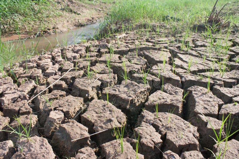 Drought stock image. Image of crisis, climate, farmers - 63604341