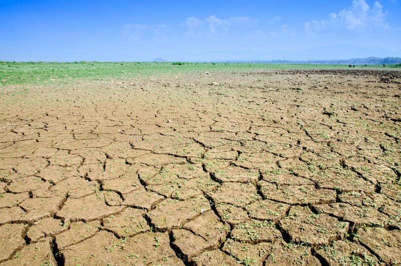 Drought Land Against a Blue Sky Stock Photo - Image of dead, adventure ...