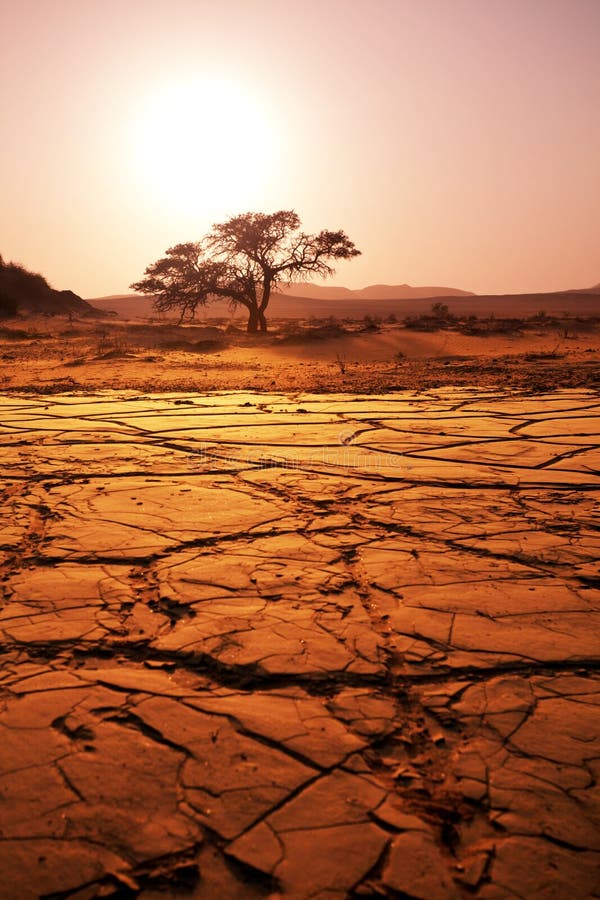 Drought desert stock image. Image of drought, drain, climate - 10596639