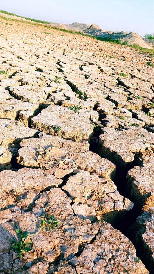 Drought Land after Water Evaporated Stock Photo - Image of leaf, nature ...