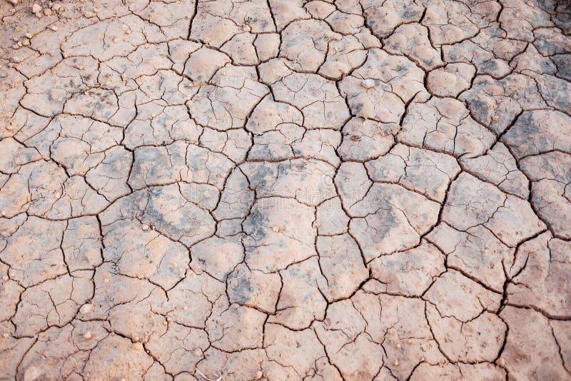The Drought in the Mediterranean Area Dries the Riverbeds Stock Image ...