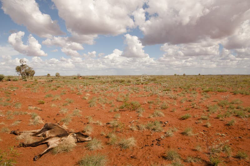 Drought - Outback Australia Stock Photo - Image of colorful, spinifex ...