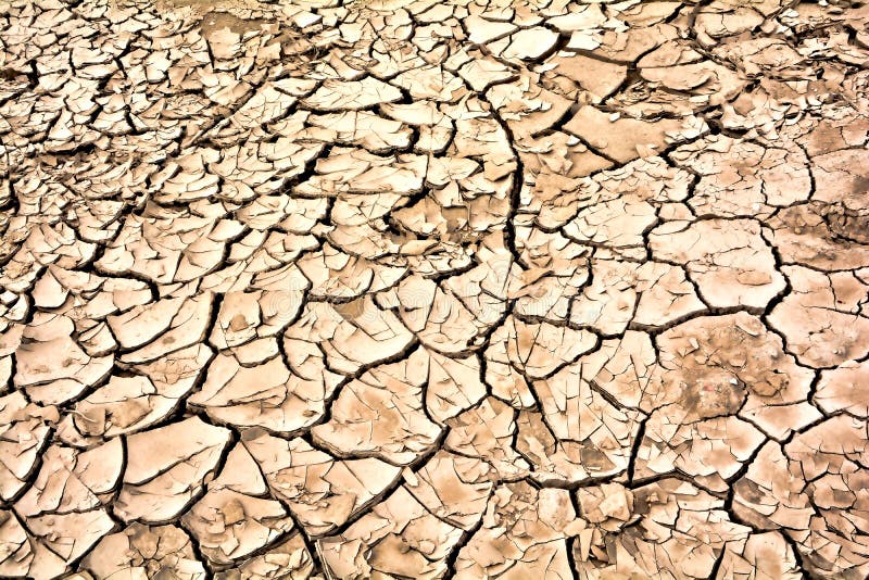 326 Farmland Parched Photos - Free & Royalty-Free Stock Photos from ...