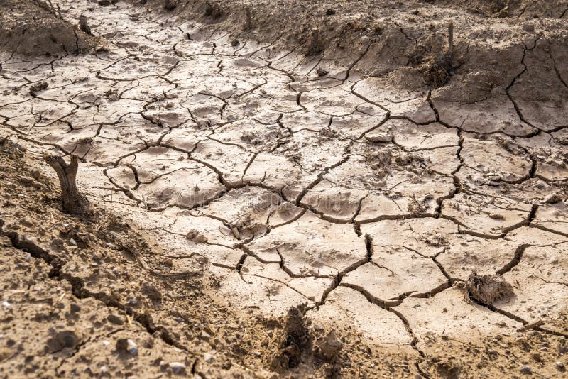 Drought stock image. Image of desert, orchard, climate - 57901675