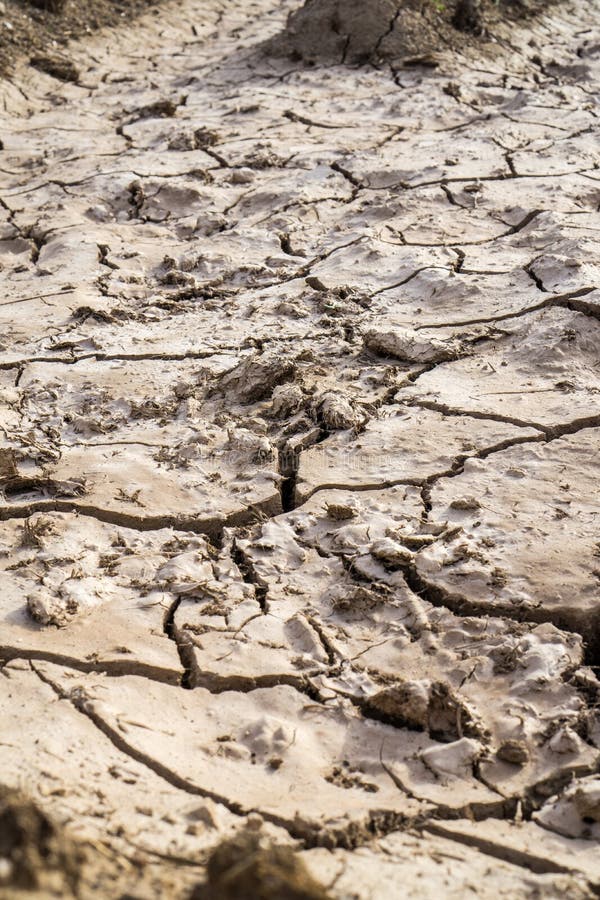 Drought stock photo. Image of spain, climate, agriculture - 57901804