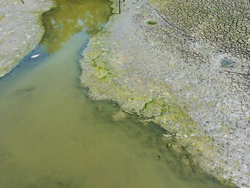Drought pond stock image. Image of outdoors, empty, summer - 32554153