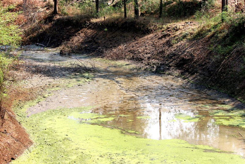 645 Low Water Level Pond Stock Photos - Free & Royalty-Free Stock ...