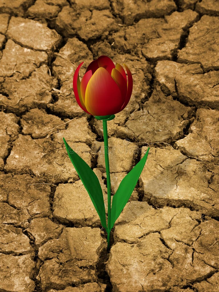 3,845 Single Desert Flower Stock Photos - Free & Royalty-Free Stock ...