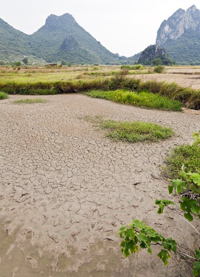 Drought in the Rice Farms stock photo. Image of chinese - 22512348