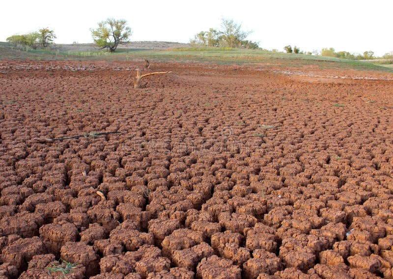 Drought in Texas stock photo. Image of barrenness, drain - 23452398