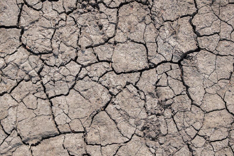 Drought Texture stock photo. Image of damage, desert - 84136316