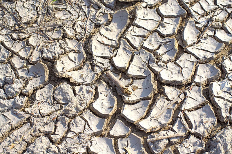 Drought stock photo. Image of dried, rough, pattern, grunge - 60901584