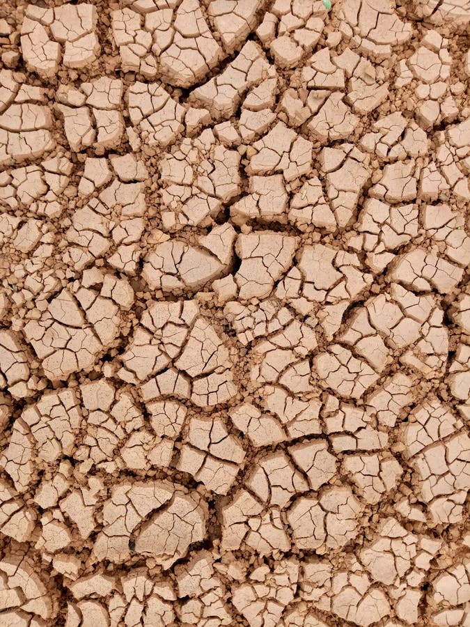 Parched Land stock image. Image of drought, village - 119344939