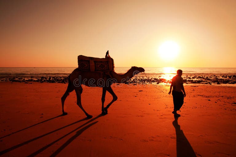 1,111 Drover Daughter Stock Photos - Free & Royalty-Free Stock Photos ...