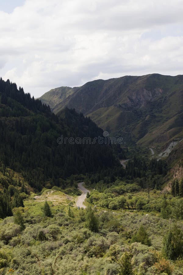 Drowning Mountains in the Forest. Stock Image - Image of mountains ...