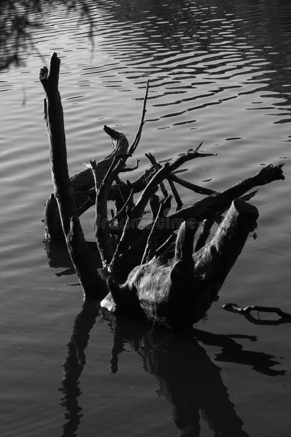 Drowning Struggle stock photo. Image of built, turns - 80075518