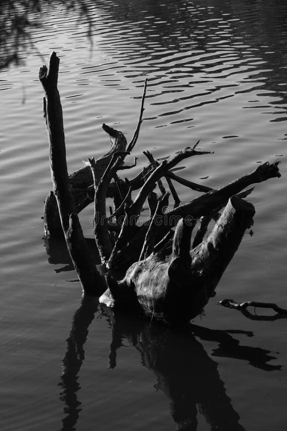 Drowning Struggle stock photo. Image of built, turns - 80075518