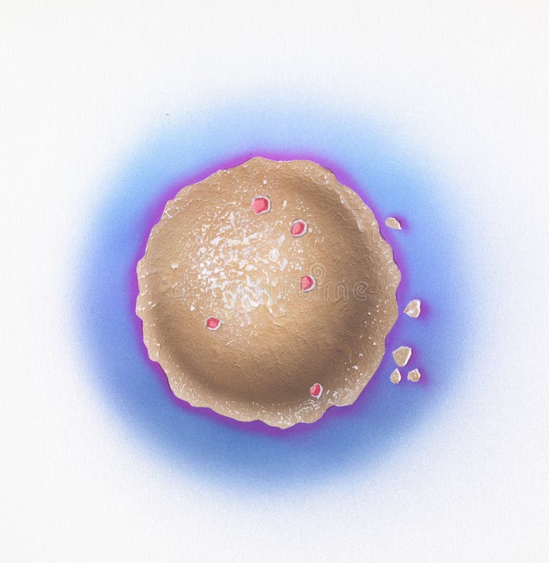 Drug - G.I. Fluid Dissolve Delivery 2 of 4 Stock Illustration ...